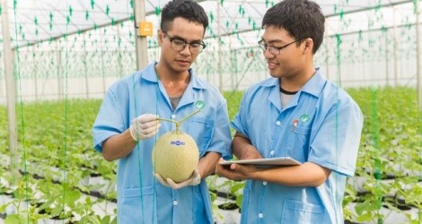 PAN Farm làm ăn ra sao trong năm 2023?