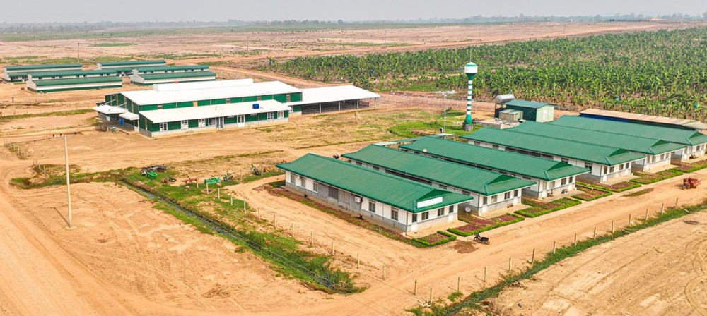 HAGL Agrico lỗ quý thứ 17 liên tiếp, lỗ lũy kế vượt 9.500 tỷ đồng